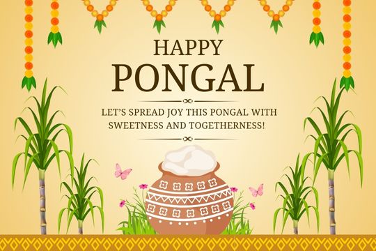 Pongal 2025 Special Kits & Combos Online UK | Celebrate with BudgetMart ...